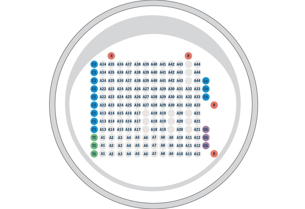 High-Throughput Multiplex Diagnostics - M2-Automation